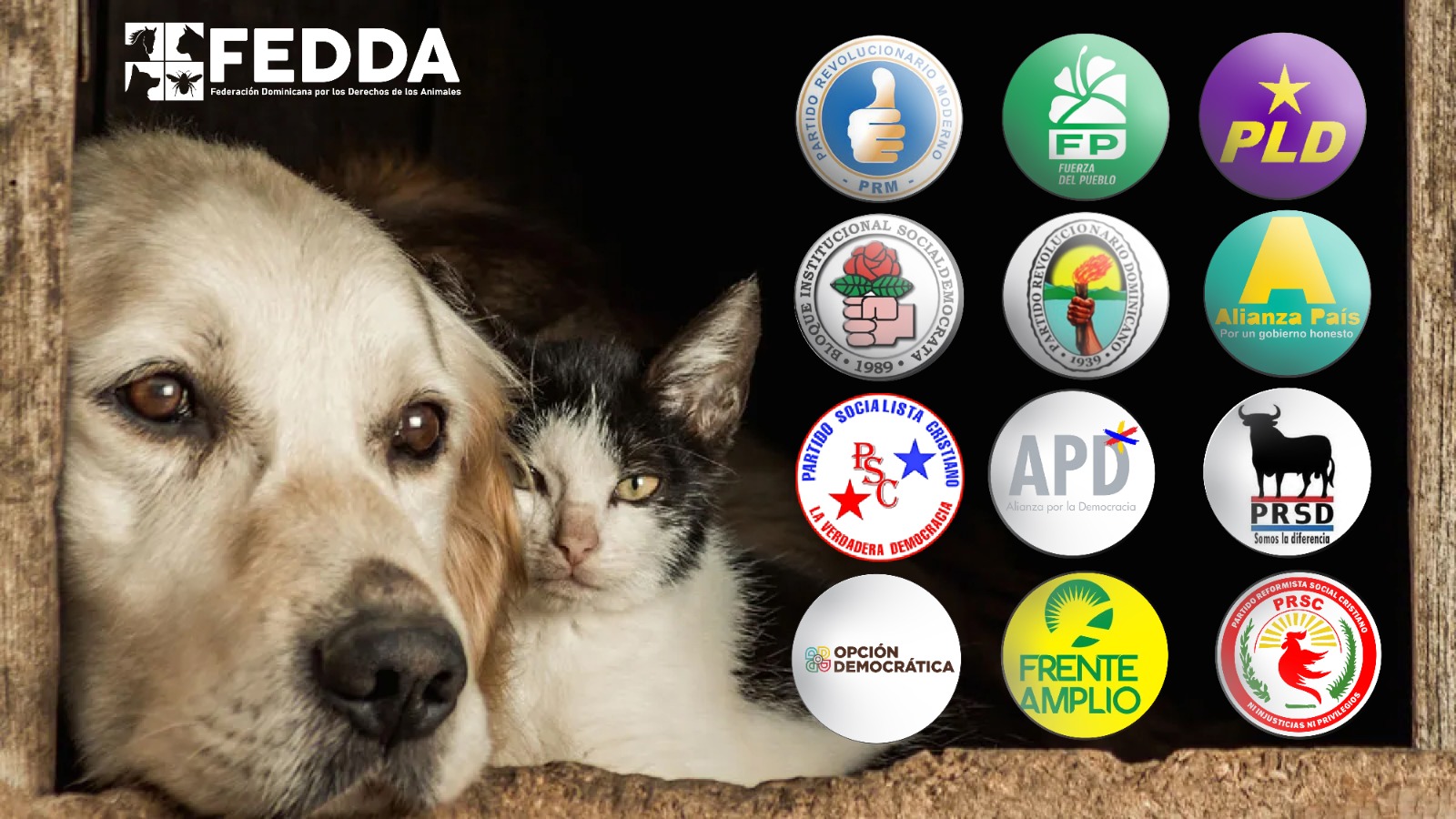 Video: FEDDA promoverá candidatos que tienen propuestas a favor de los ...
